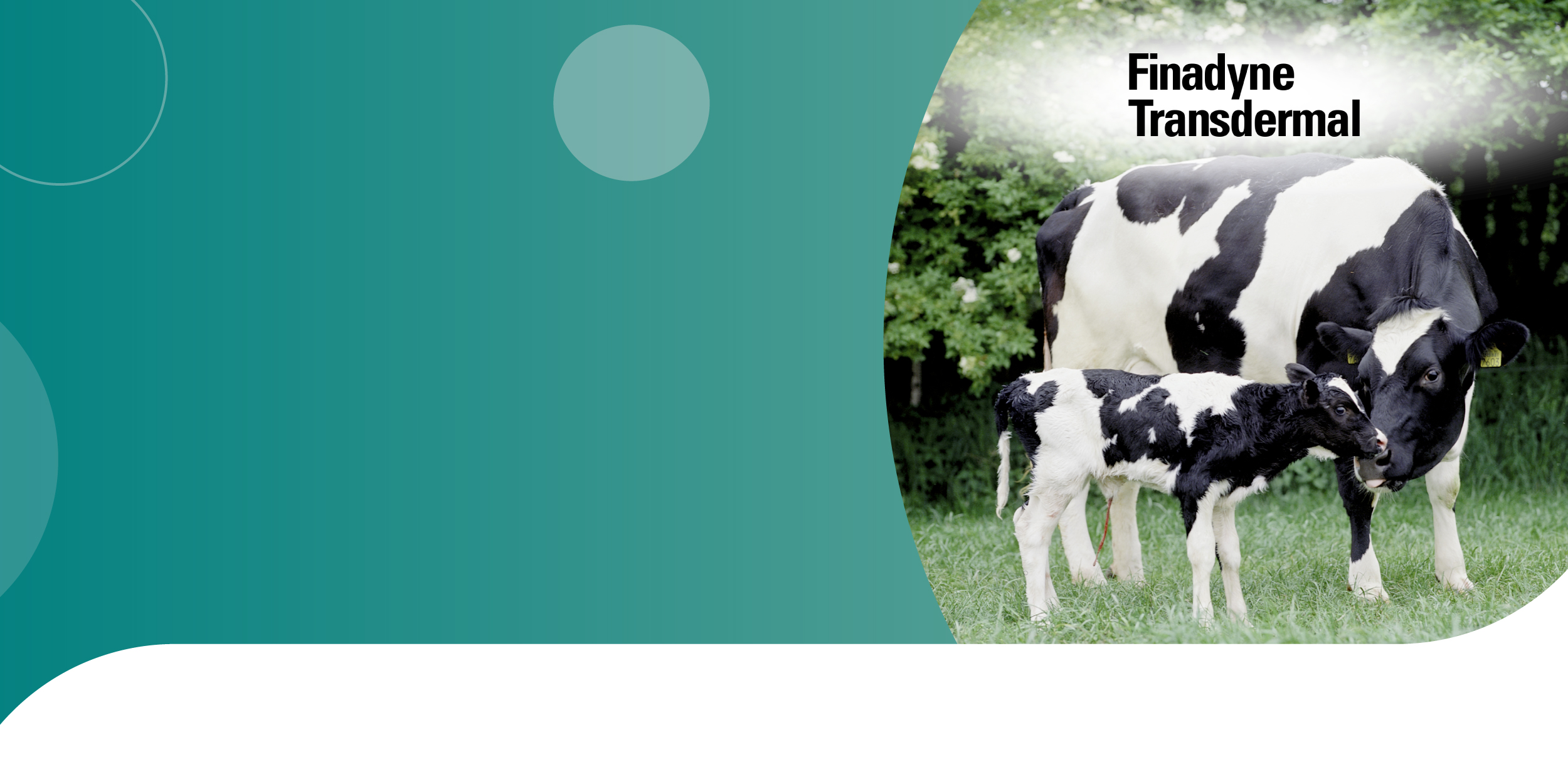 MSD SALUD ANIMAL CHILE - MSD Salud Animal Chile