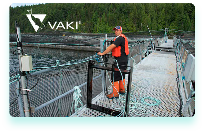 Biomark - MSD Salud Animal Chile