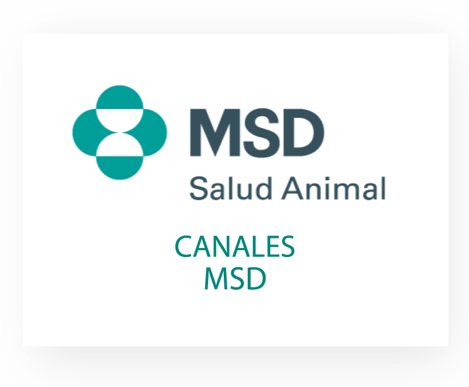 MSD SALUD ANIMAL CHILE - MSD Salud Animal Chile MSD SALUD ANIMAL CHILE - MSD Salud Animal Chile