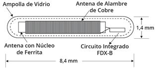 PIT-TAGS(BIOMARK) - MSD Salud Animal Chile