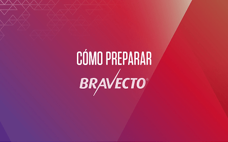 Bravecto® 365 | Esquema anual en una dosis